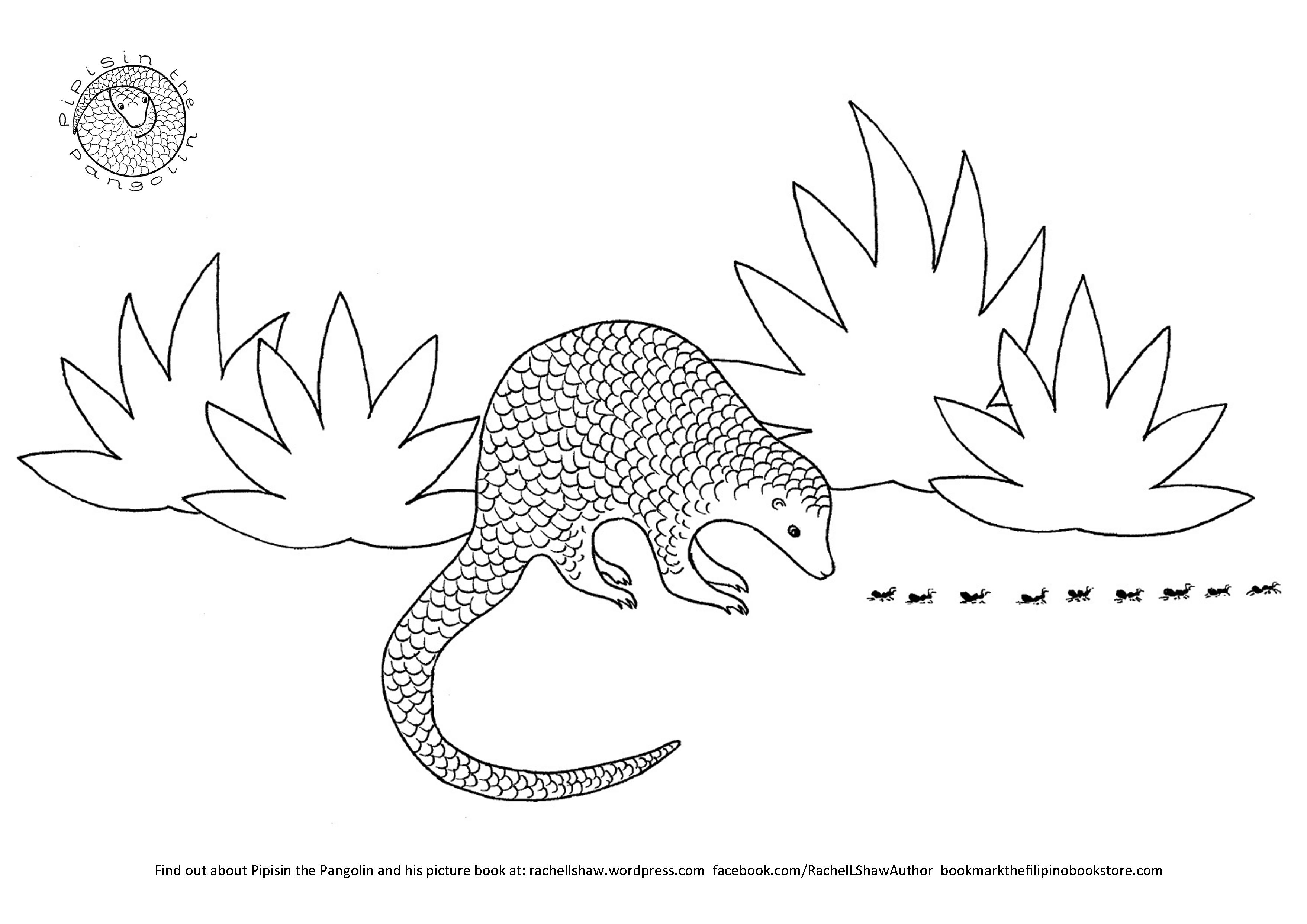 Colour in a pangolin | Rachel L Shaw
