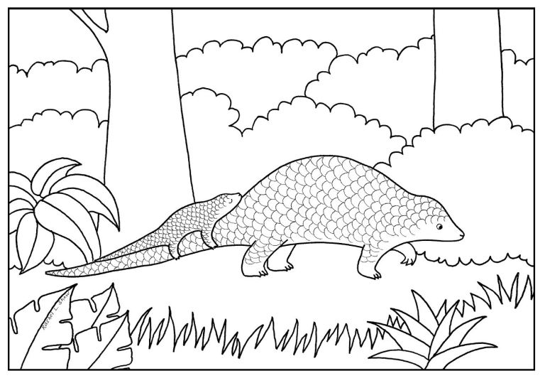 Pango-mom and pangopup colouring | Rachel L Shaw