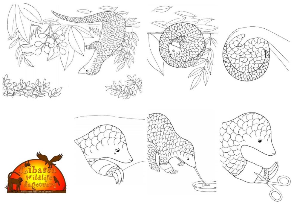 Crafts | Rachel L Shaw