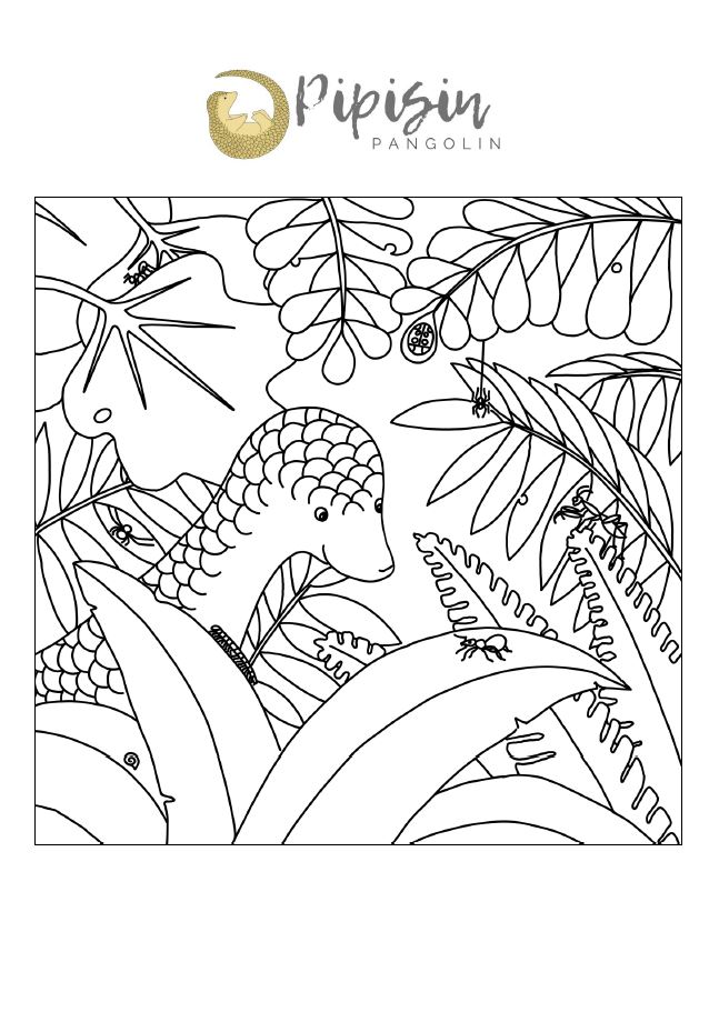 New pango-colouring page | Rachel L Shaw