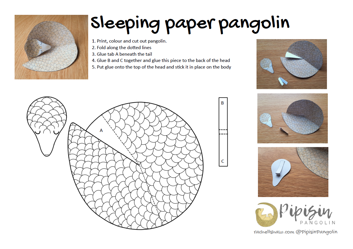 Crafts | Rachel L Shaw