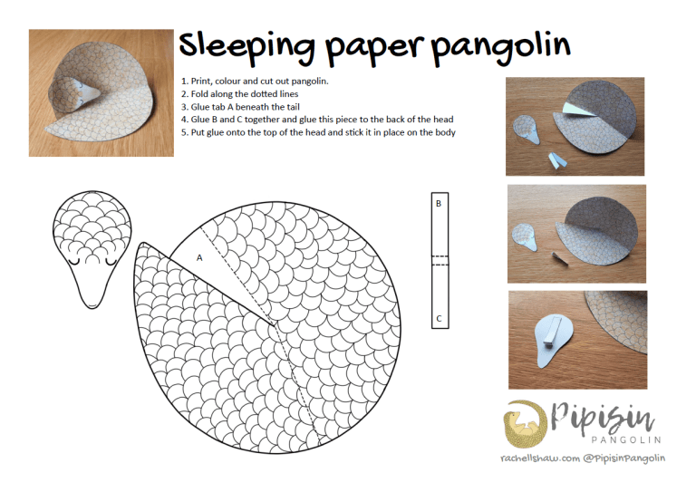 Crafts | Rachel L Shaw